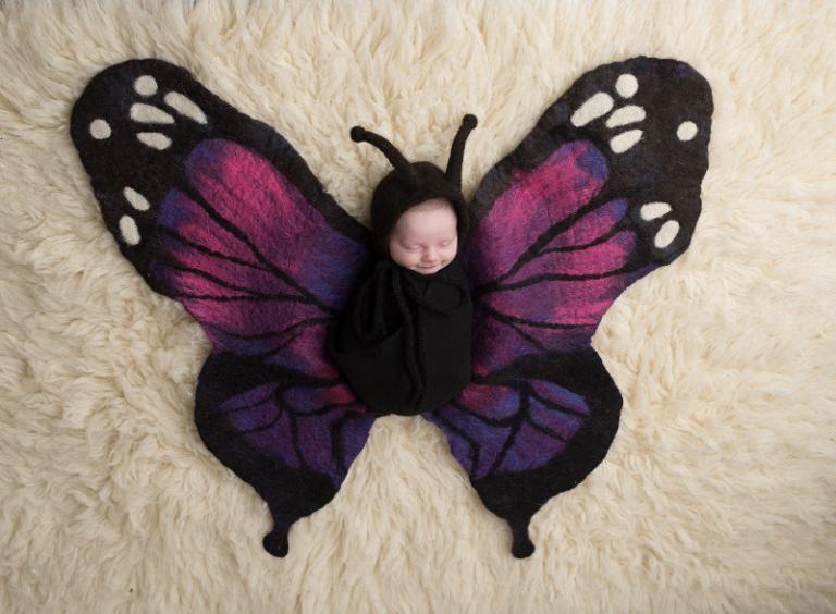 Portfolio – Newborns – Miss Z Photography | Award Winning Photographer ...
