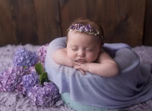 Portfolio – Newborns – Miss Z Photography | Award Winning Photographer ...