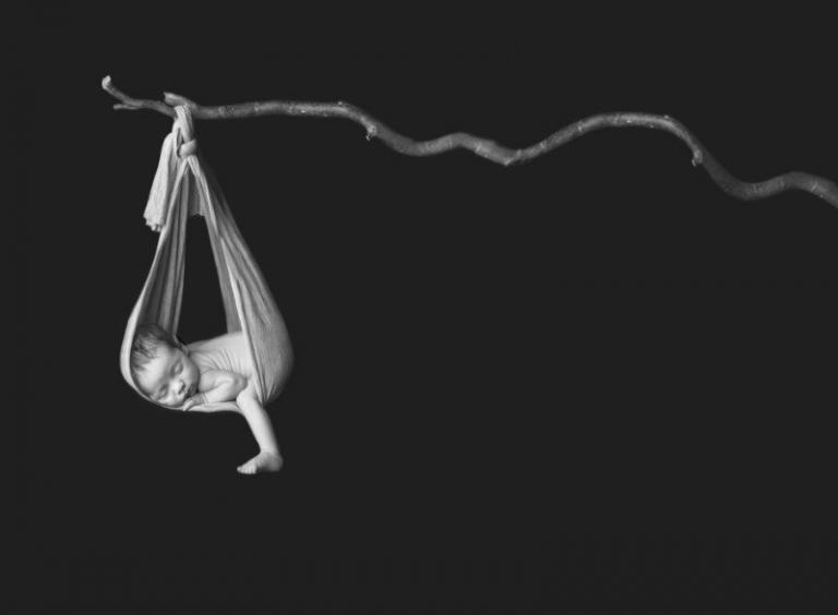 Portfolio – Newborns – Miss Z Photography | Award Winning Photographer ...