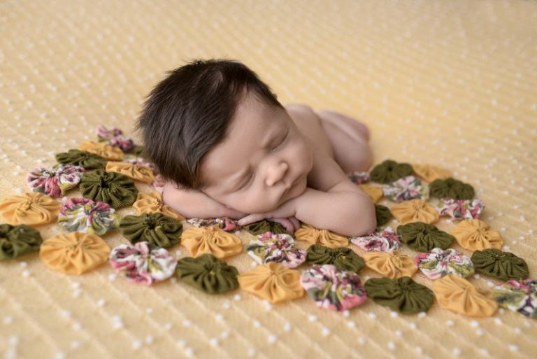 Portfolio – Newborns – Miss Z Photography | Award Winning Photographer ...
